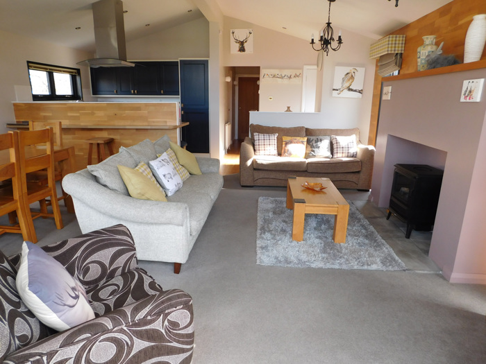Pet friendly lodge with a hot tub for hire at Finlake Holiday Park in ...